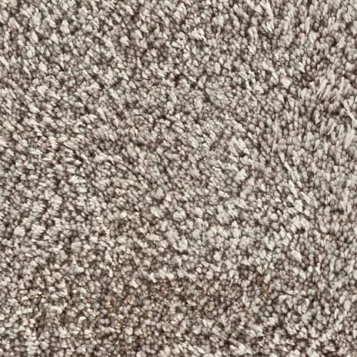 Sumptuous in Steel Grey Carpet — America's Floor Source