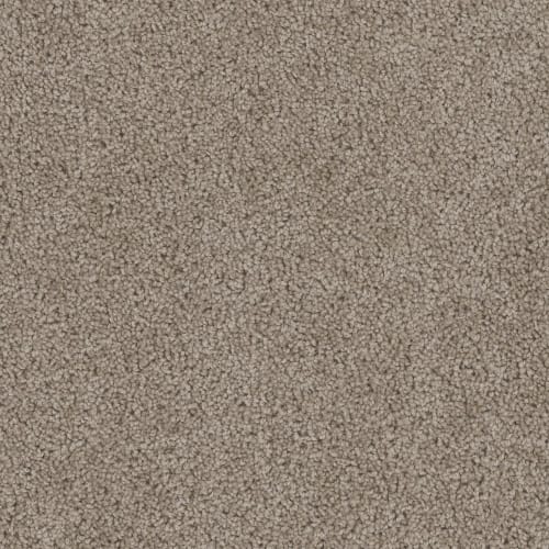 Ashton Hills in Ash Carpet — America's Floor Source