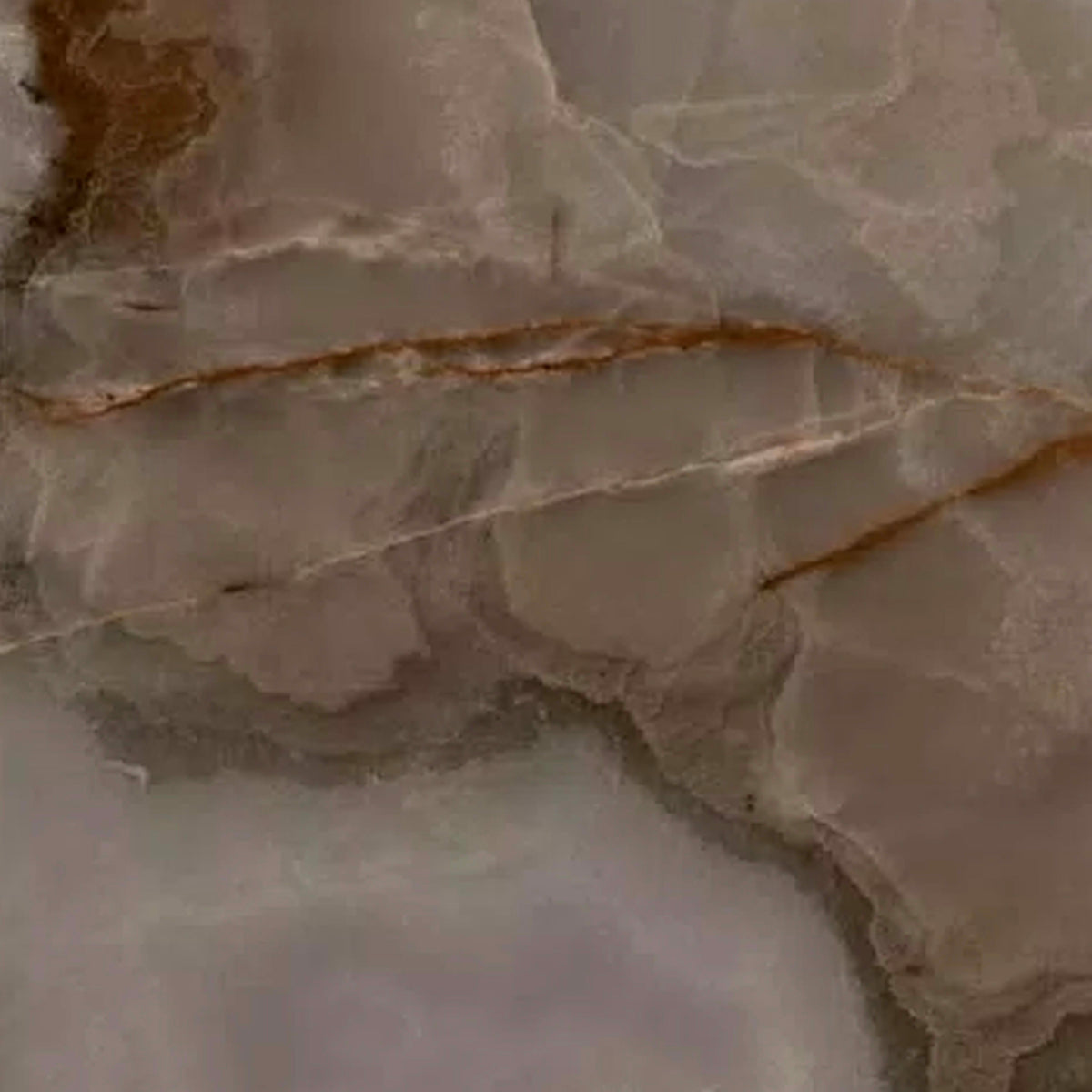 Reves De Rex in Choco - Polished Tile — America's Floor Source