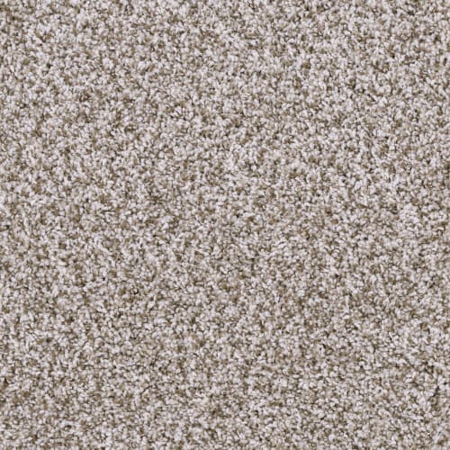 Missionary Ridge in Agate Carpet — America's Floor Source