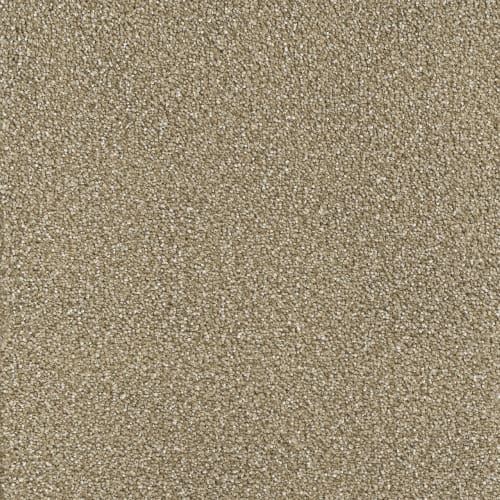 Canyon Fork in Acorn Carpet — America's Floor Source