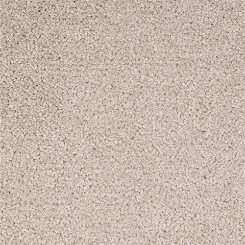 Spectrum Carpet — America's Floor Source