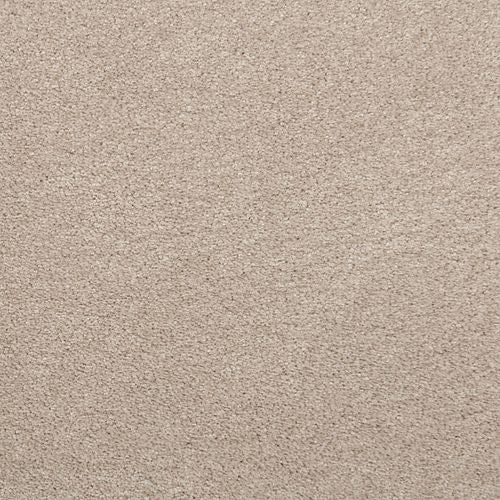 Pleasant Touch in Aberdeen Carpet — America's Floor Source