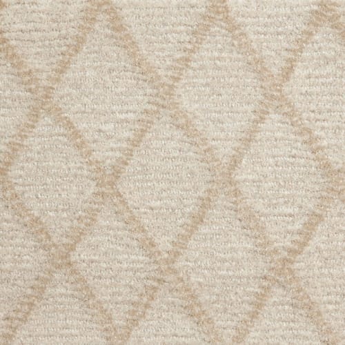 Paragon Point in Canvas Carpet — America's Floor Source