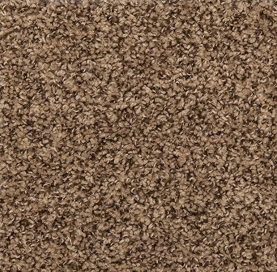 Mohawk Revive Carpet Flooring — America's Floor Source