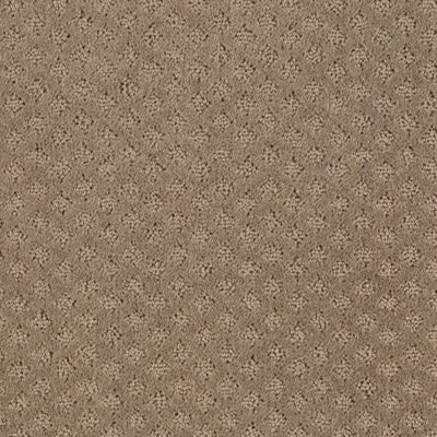 Mohawk Design Inspiration Carpet Flooring — America's Floor Source