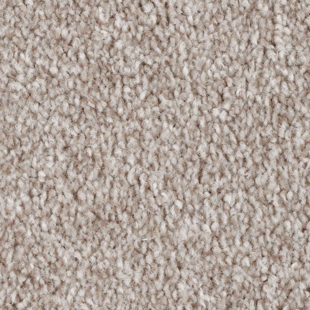 Mohawk True Melody Carpet Flooring — America's Floor Source