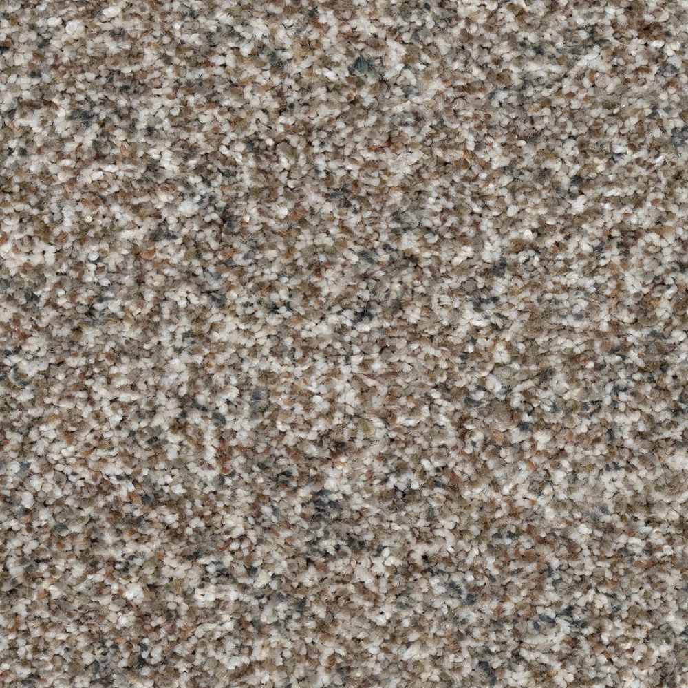 Mohawk Bold Option Carpet Flooring — America's Floor Source