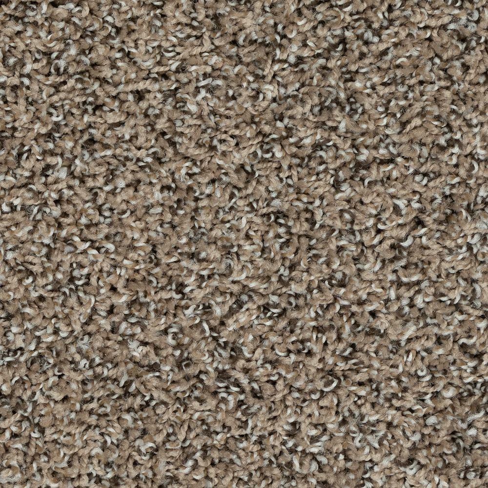 Mohawk Roll With It Carpet Flooring — America's Floor Source
